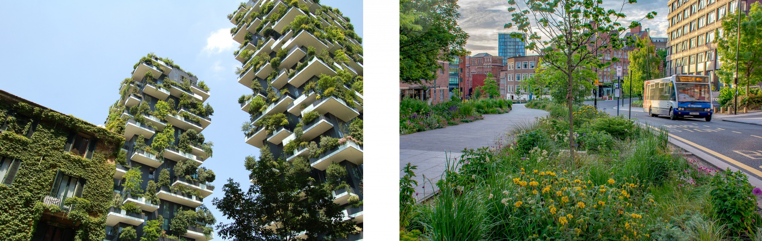 Climate adaptation in placemaking and building design - Good Homes Alliance